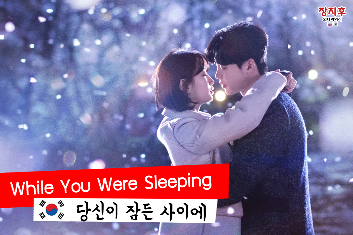 While You Were Sleeping (당신이 잠든 사이에) ลิขิตฝันฉันและเธอ – Diary of Jang ...